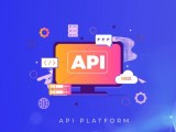 How Api Platform Are Shaping The Future Of Business