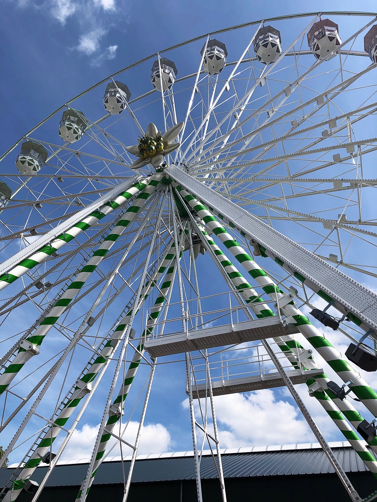 Ferris Wheels, transportable and fixed in different sizes for sale.