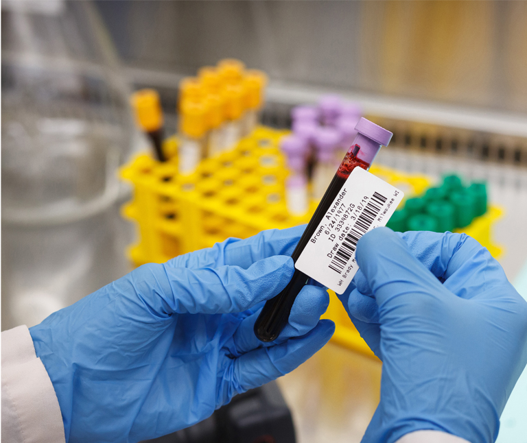 Brady Lab Solutions - RT6