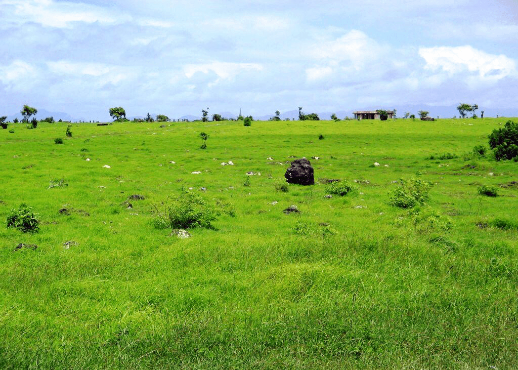 stepa - RumusHitung.Com