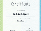 Rushikesh Yadav Portfolio Website