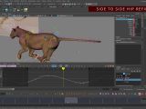 Cat Run Cycle Animation Tutorial Rusty Animator