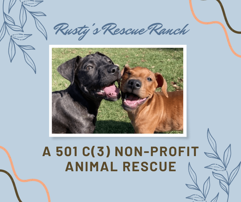 Rusty's Rescue Ranch | A Ranch of Second Chances