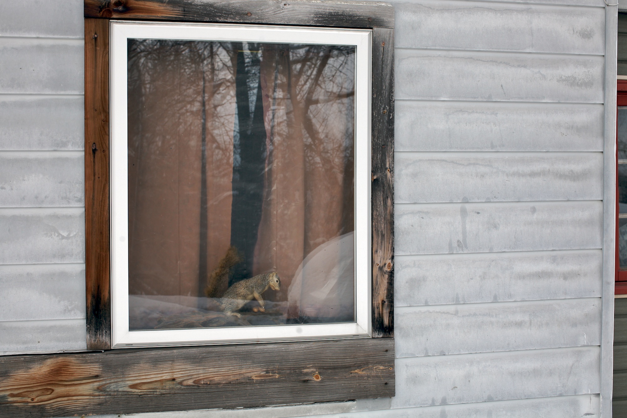 Windows With Signage and/or Things in Them – Gallery 5 – Ruth E. Hendricks