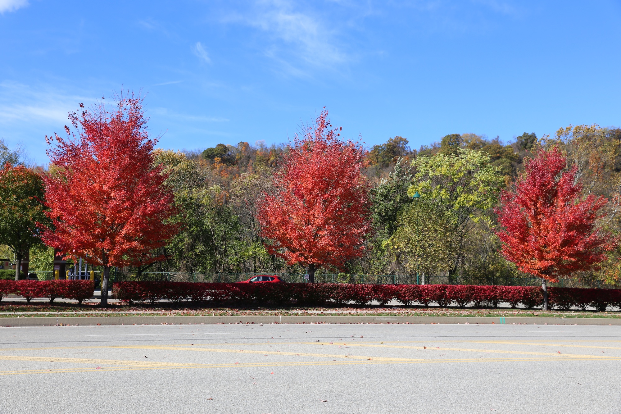 Pittsburgh Autumn in a Bright Light – Ruth E. Hendricks Photography
