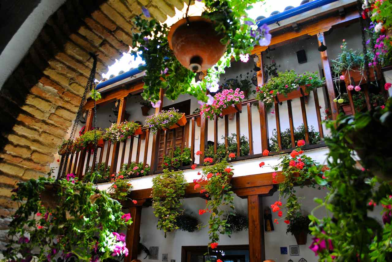 Córdoba in Full Bloom - Urban SerenityUrban Serenity