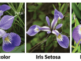 Github Prasanna Mohanty Iris Dataset Analysis Using Python Iris