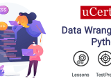 Ultimate Data Wrangling With Python Course