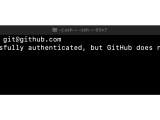Ssh Keys And Github Codewithsusan