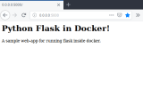 Dockerizing Python Applications
