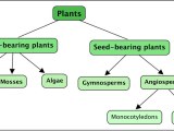 Overview Of Classification Methods In Python With Scikit Learn