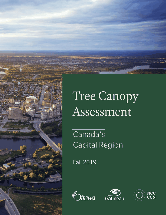 Tree Canopy Assessment Documentcloud