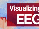 Data Visualization In Python Visualizing Eeg Brainwave Data