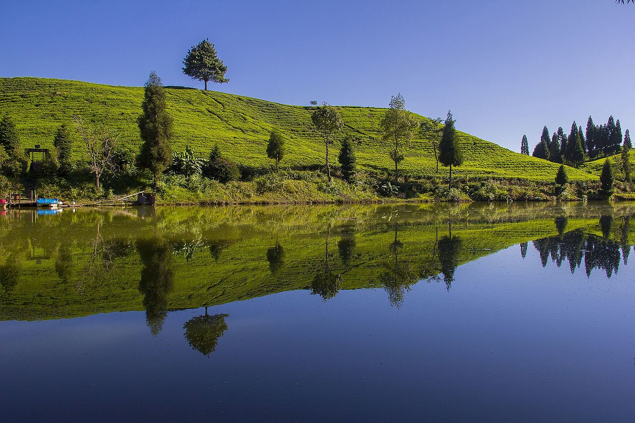 8 Best Places to Visit in Illam , Places to See in Illam • Tips Nepal