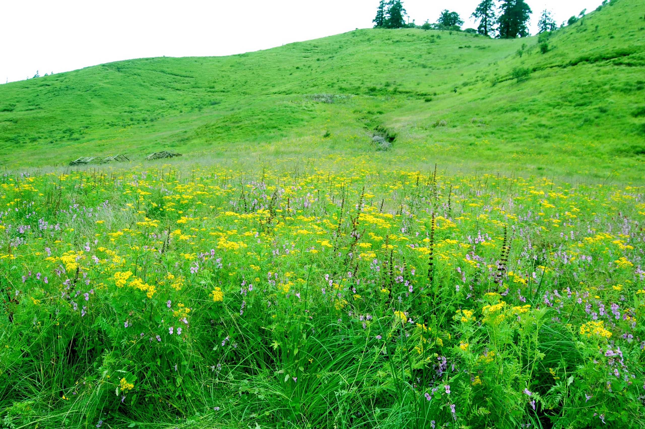 5 Best Places to Visit in Rolpa District • Tips Nepal