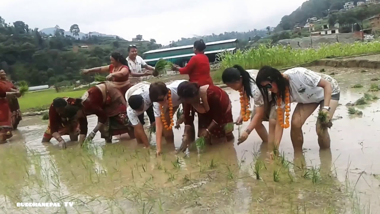 Asadh 15-Dhan Diwas: The Day of the Unsung Hero • Tips Nepal