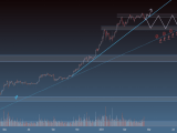 Trader Reees Trading Ideas Charts Tradingview