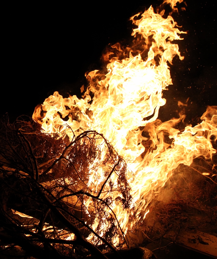 Bold as Lions – Sabbath Thoughts