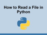How To Read A File In Python