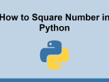 How To Square Number In Python