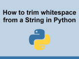 How To Trim Whitespace From A String In Python Sabe
