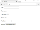 Forms And Inputs Html Tutorial Sabe