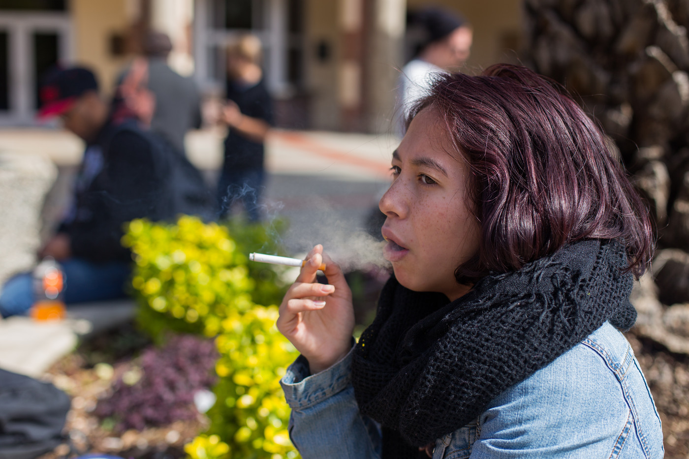 SCC campus to be smoke- and tobacco-free this fall – Sac City Express