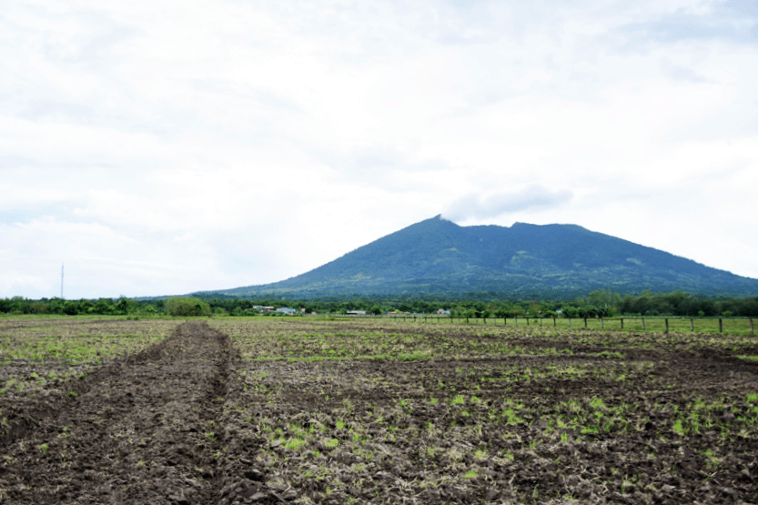 Housing - SACOP, Inc.