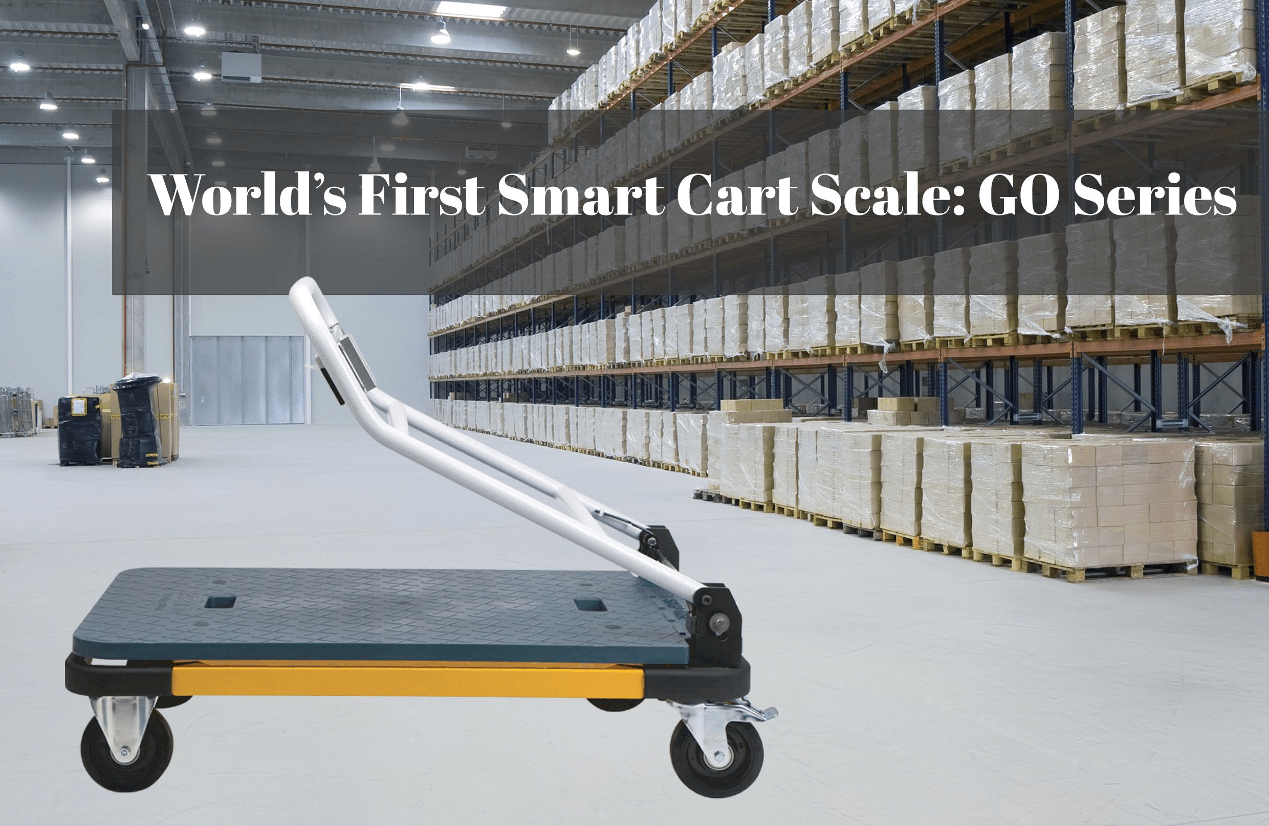 Shipping Scales Go Series - Smart, Strong, Convenient - SAEROM