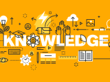 7 Quick Tips To Improve Knowledge Management Saffron Interactive