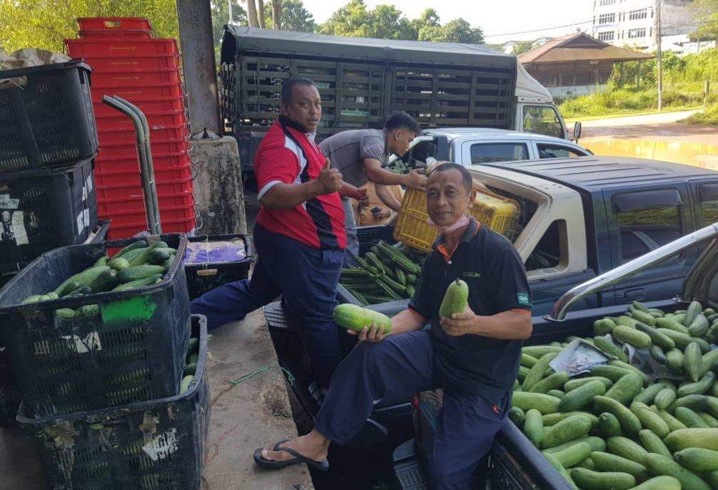 Peniaga bukan Islam hayati Keluarga Malaysia - SAHIH