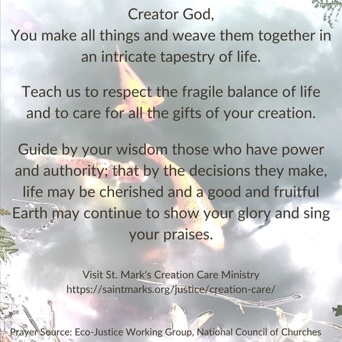 Creation Care Ministry Meeting Archives • Saint Mark's Episcopal Cathedral