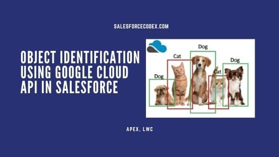 Object Identification using Google Cloud API in Salesforce | SalesforceCodex