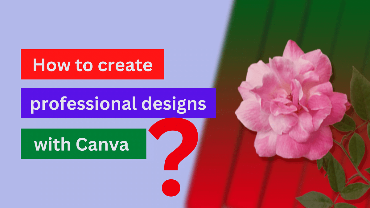 How To Create Professional Designs With Canva | Salsyl Digital