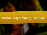 Python Programming Essentials Quiz Saltedandhung Sg
