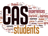 Cas Program S A M E Academy