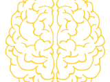 What Is Neuro Linguistic Programming Hypnotherapy Nlp