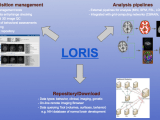 Loris A Database System