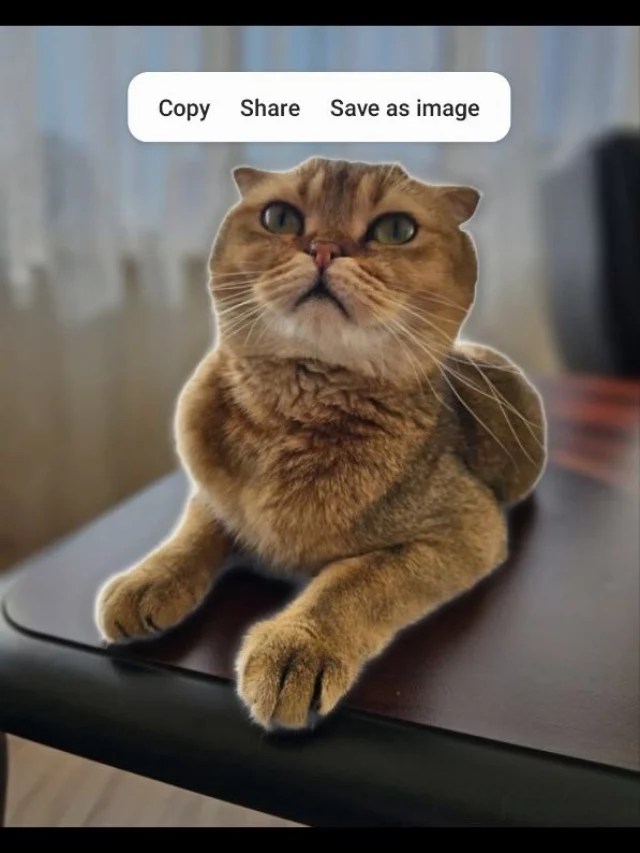 Samsung Image Clipper Feature: Eligible Samsung Galaxy devices