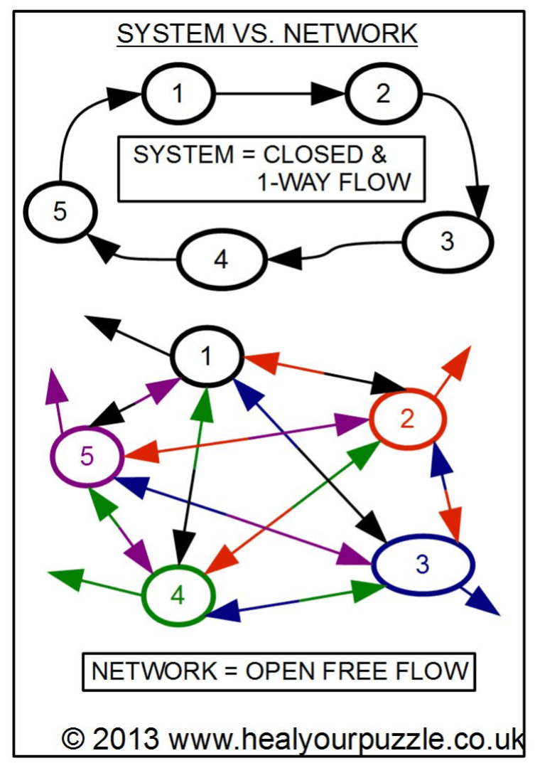 INF537: Networks within systems | Sam Lyons