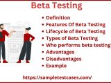 Beta Testing Definition Types Example Process And Tools