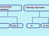Membership Identity Operators In Python