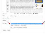 How To Make An Image Clickable In Wordpress Sarah Santacroce