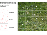 Chapter 6 Ecological Sampling Env 226 Lab Online R Manual