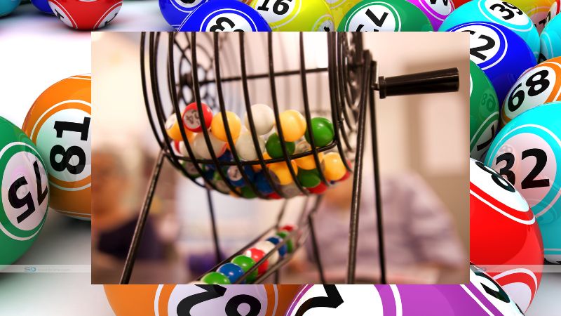 Interactive Fun for All Ages: The Addictive World of Virtual Number ...