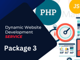 Dynamic Website Development Savy Work