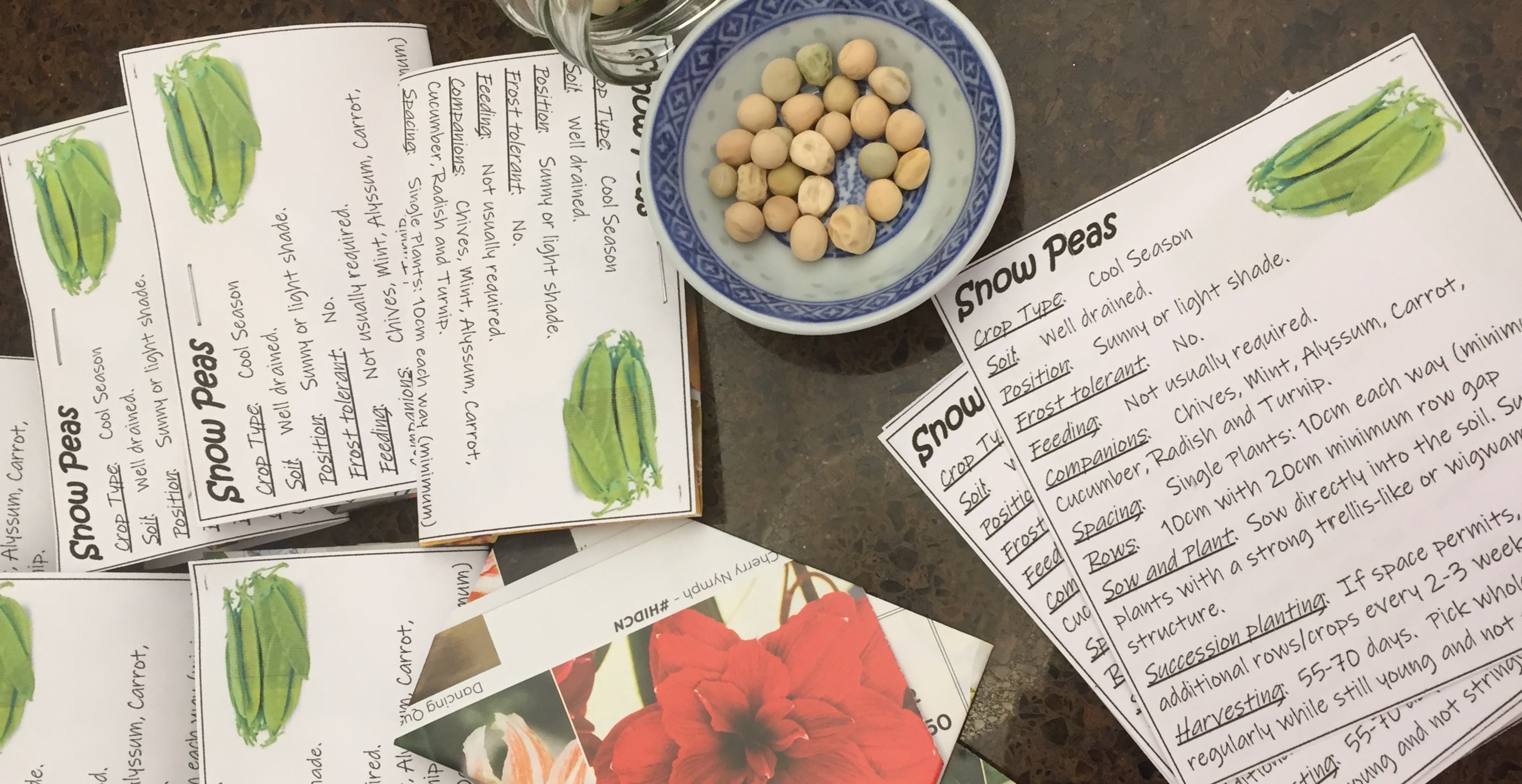 Seed Saving Labels | SBA's Kitchen @ Home