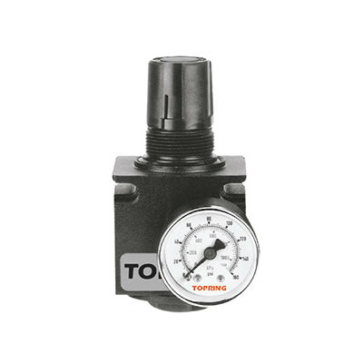 Topring 50.320 Modulair 1/4 Mini Regulator & Gauge 0-125 PSI | SB ...