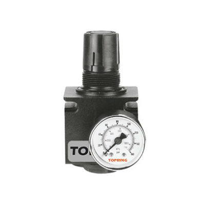 Topring 50.335 Modulair 1/2 Medium Regulator & Gauge 0-125 PSI | SB ...
