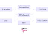 Basic Object Oriented Concepts Java Object Oriented Programming